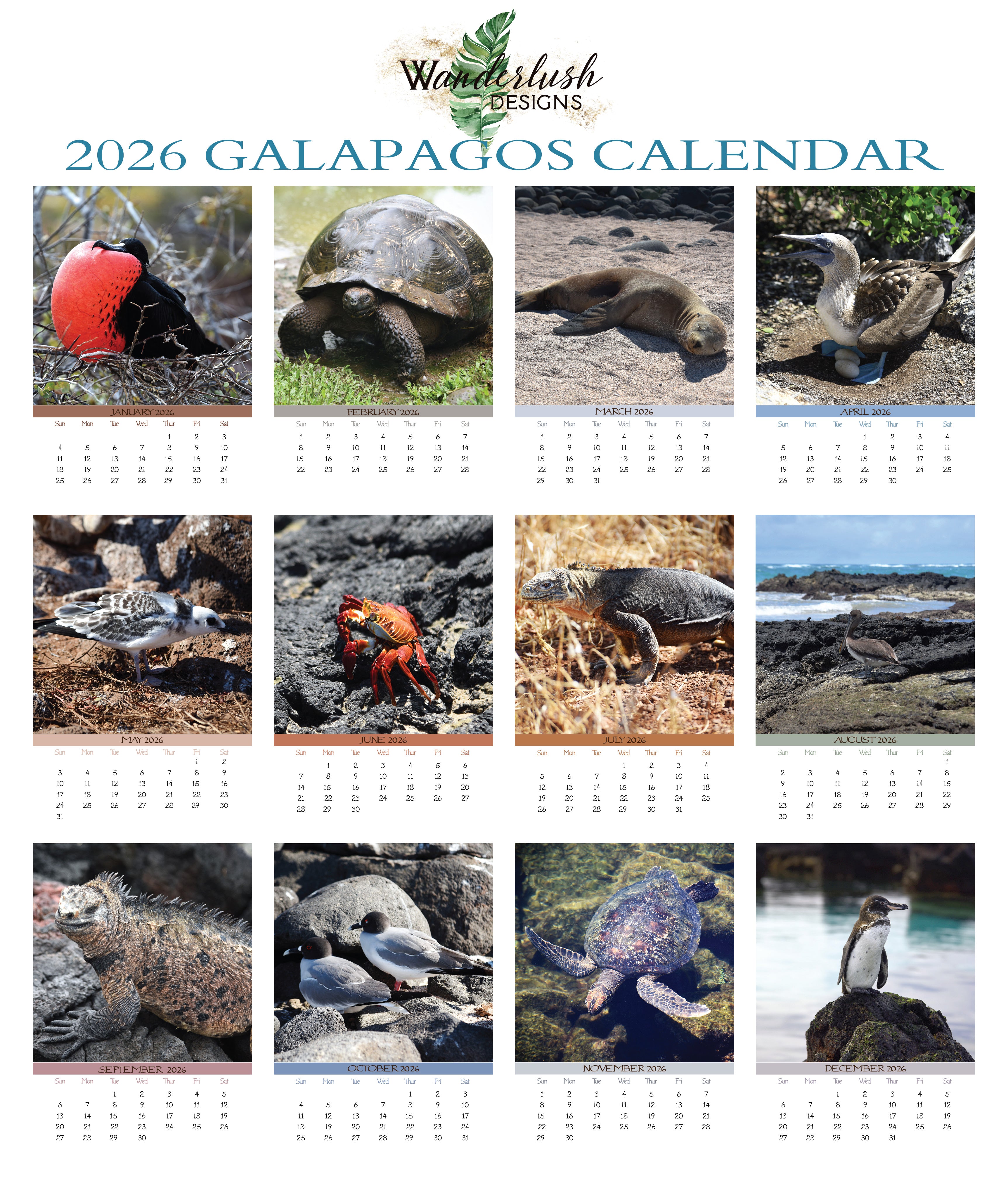 2026 Photo Calendar - Galapagos, Ecuador – Sandra Jensen Photography